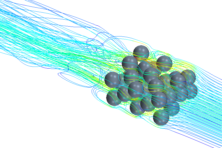 Numerical Simulation in Life Sciences